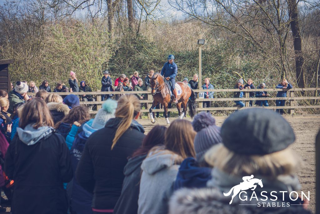 Clinics and Events - Gasston Stables